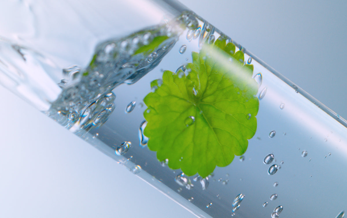 Giant BYoungPool – Incellderma